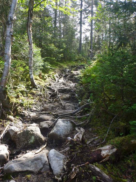 Randonnée à la Chute de la rivière des Huit-Chutes (Zec Onatchiway ...